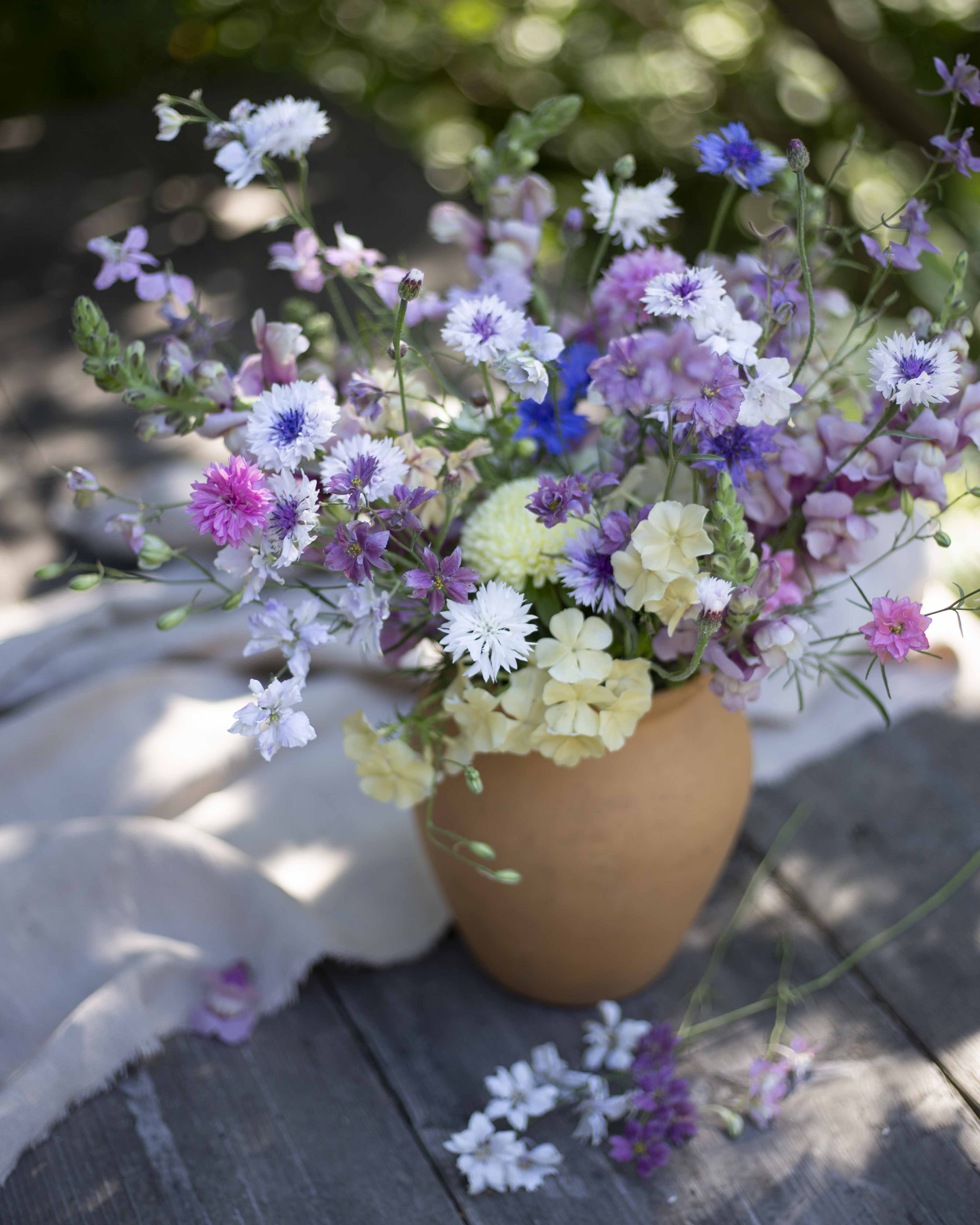Syys- ja talvikylvettävät kukat – kukkatarhurit